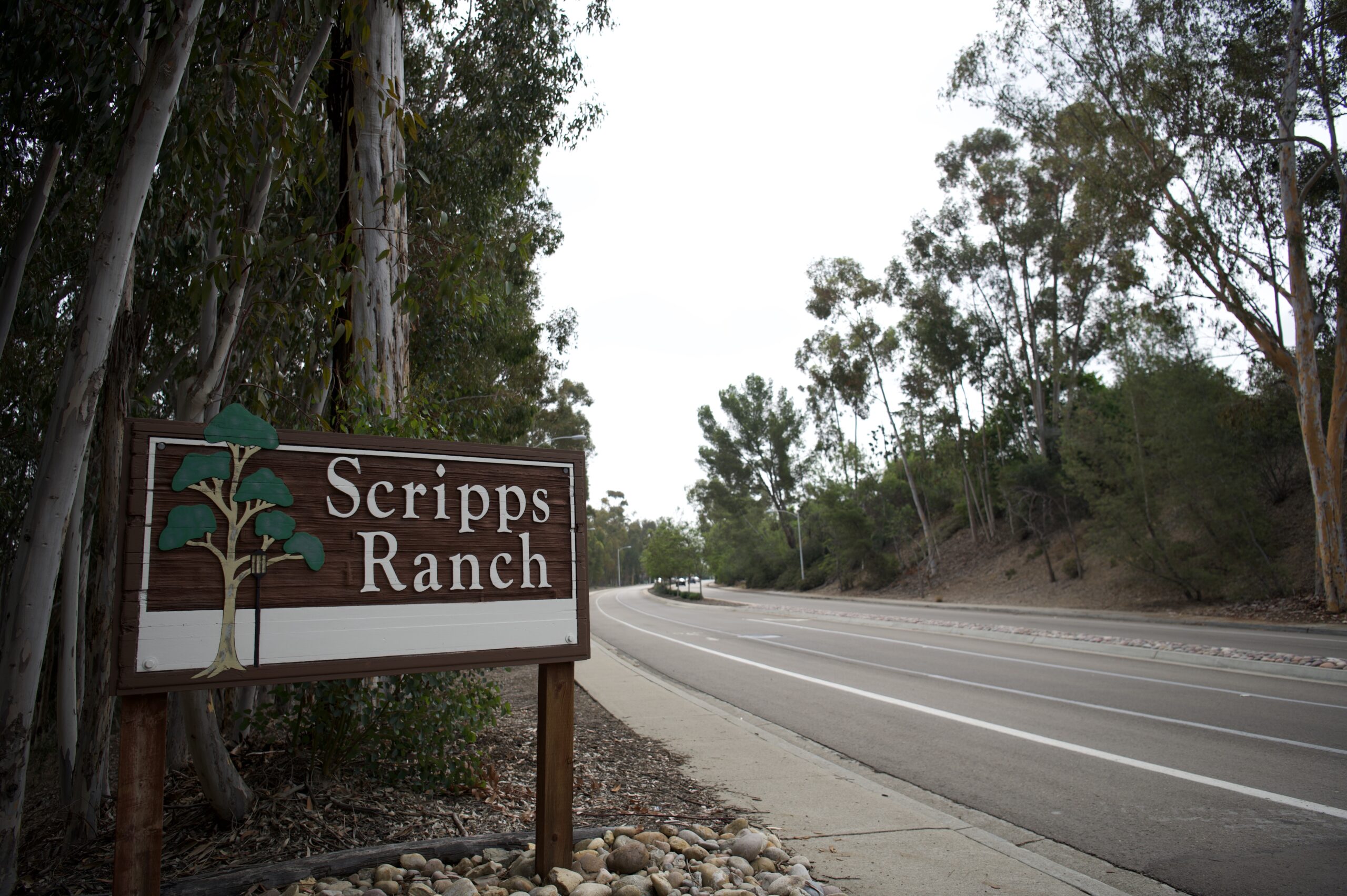 Building an ADU in Scripps Ranch: Your Guide to Expanding Your Home the ...